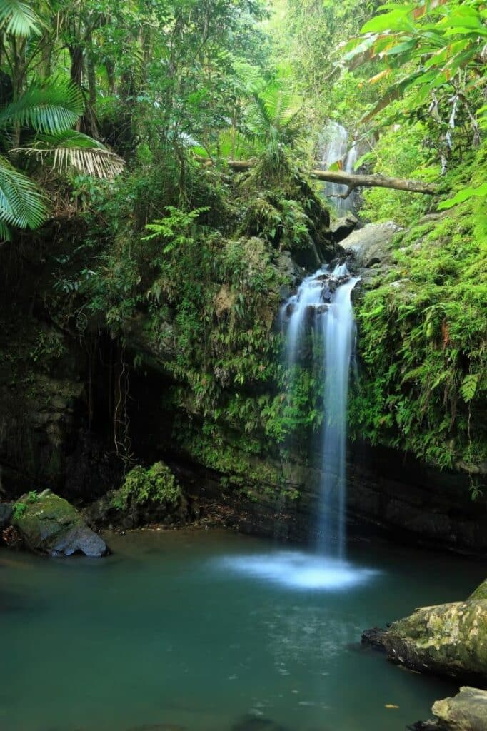 15 Best Waterfalls In Puerto Rico (2023) - PuertoRico.com