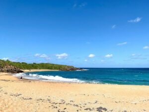 How To Get To Fajardo From San Juan - 5 Best Options (2024)