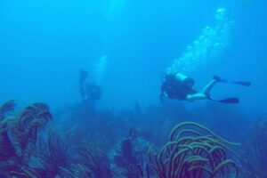 12 Best Tours & Excursions In Culebra, Puerto Rico (2024)