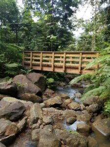 20 Best Hiking Trails In Puerto Rico (2023) - All You Need To Know