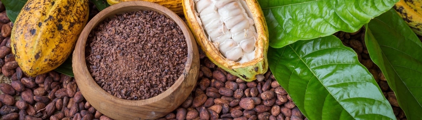 5 Best Chocolate Tours & Farms In Puerto Rico (2024)