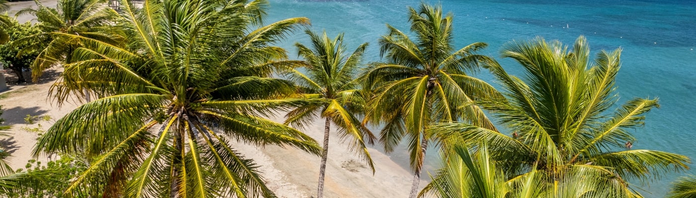 Best Times To Visit Puerto Rico (Explained By A Local) - PuertoRico.com