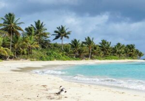 12 Best Beaches In Culebra (2025) - All You Need To Know