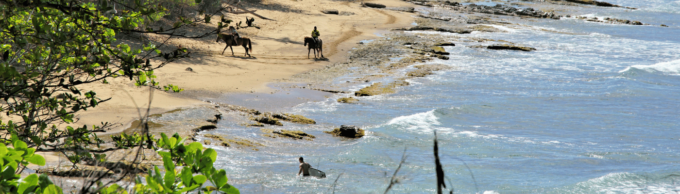 13 Best Tours & Excursions In Rincon, Puerto Rico (2025)