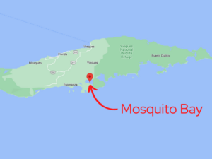 Mosquito Bay In Vieques, Puerto Rico (2025) - All You Need To Know