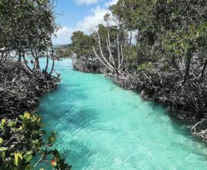 6 Best Tours & Excursions In Cabo Rojo, Puerto Rico (2024)