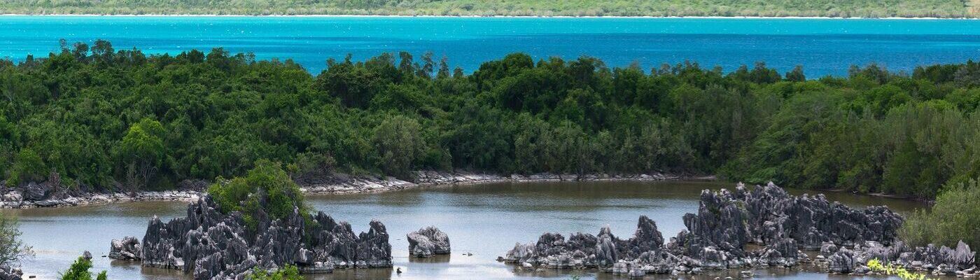 Punta Guaniquilla Nature Reserve In Cabo Rojo, Puerto Rico (2025)