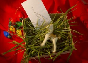 Public Holidays, Traditions & Celebrations In Puerto Rico (2024 ...