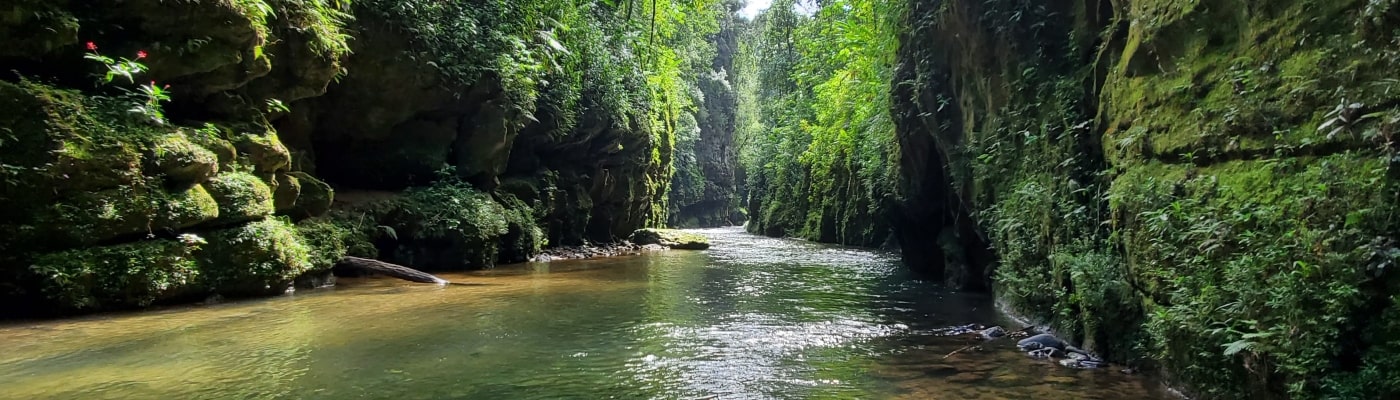 Tanama River (Río Tanamá) In Puerto Rico - All You Need To Know