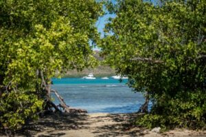 12 Best Camping Spots In Puerto Rico (2023) - All You Need To Know