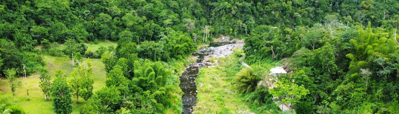 Toro Negro State Forest (2024 Guide) - All You Need To Know