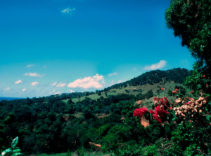 Puerto Rico vs Hawaii: Which Is A Better Vacation Destination? (2024)