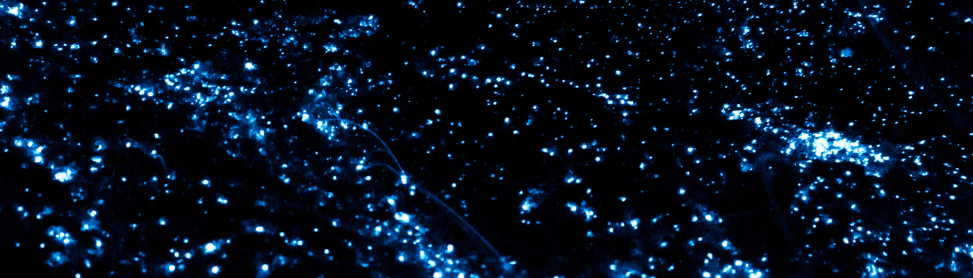 8 Best Bioluminescent Kayak Tours In Mosquito Bay, Vieques (2024)